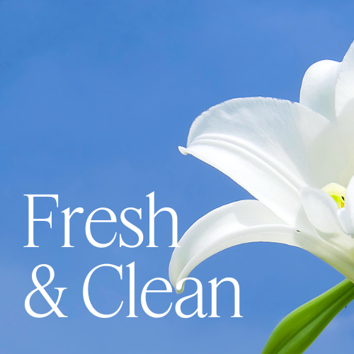 Aera® - Fresh & Clean Sample Set