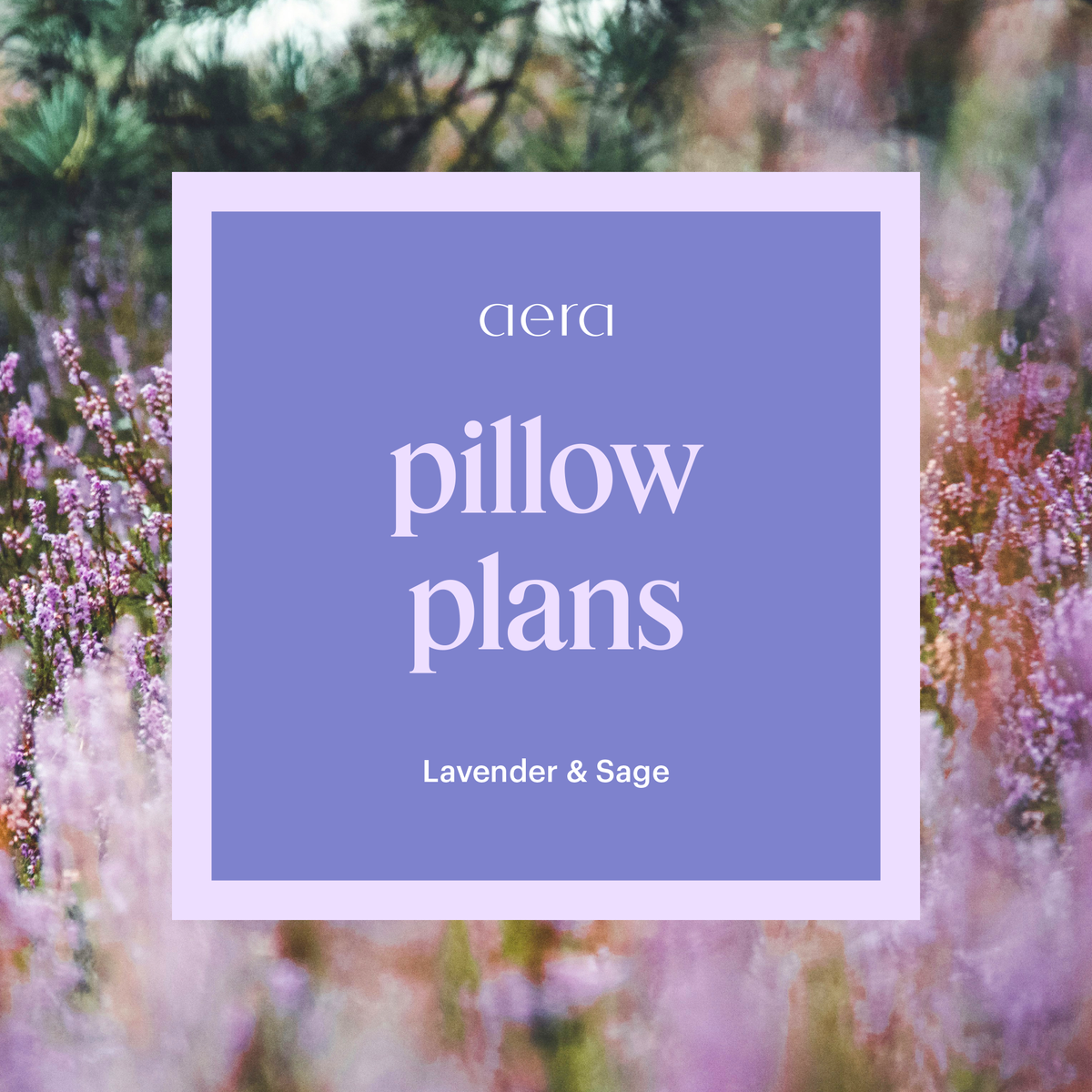 Aera® - Lavender and Sage Pillow Plans Home Fragrance