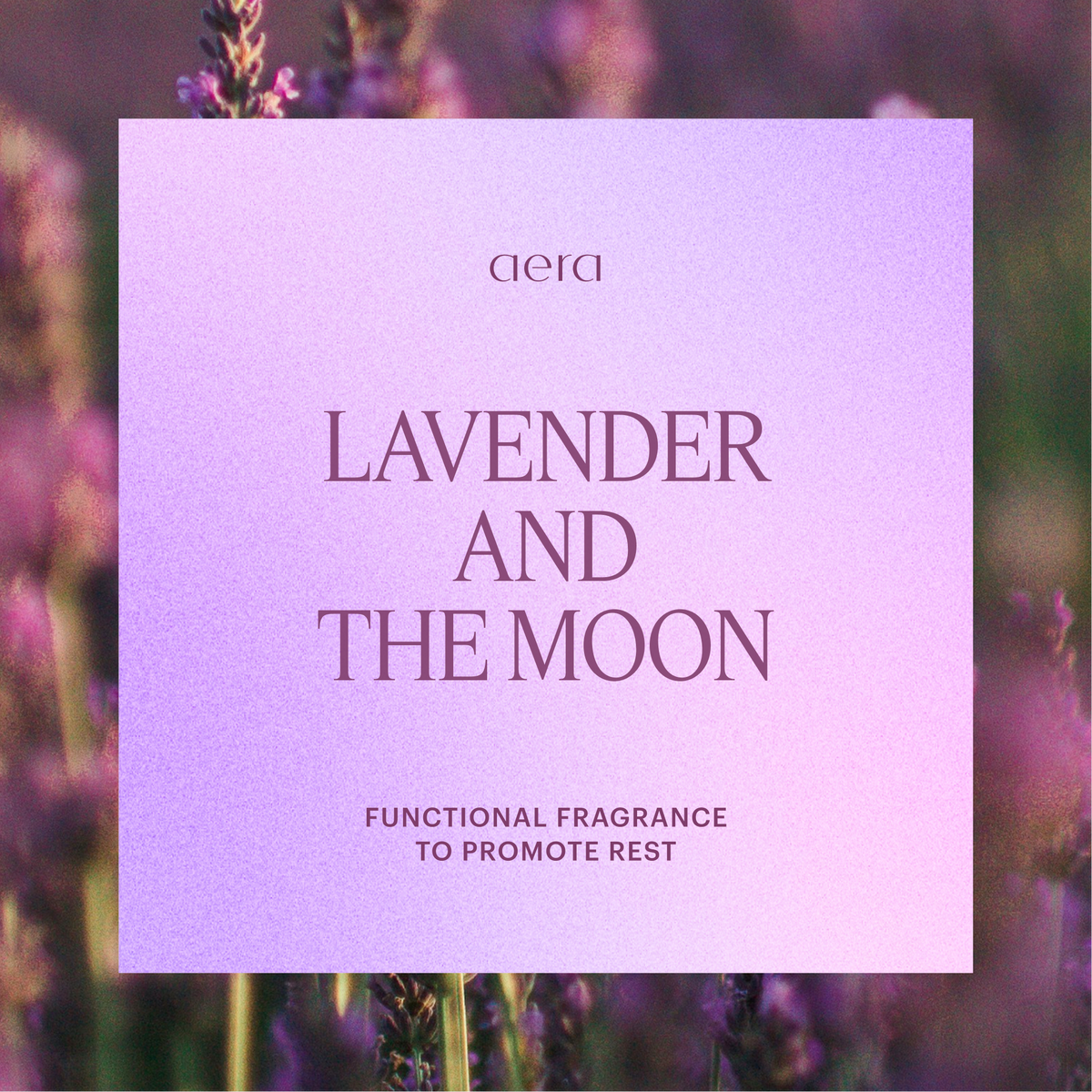 Aera® - Lavender and the Moon | Lavender Scent & Cinnamon Scent | Aera