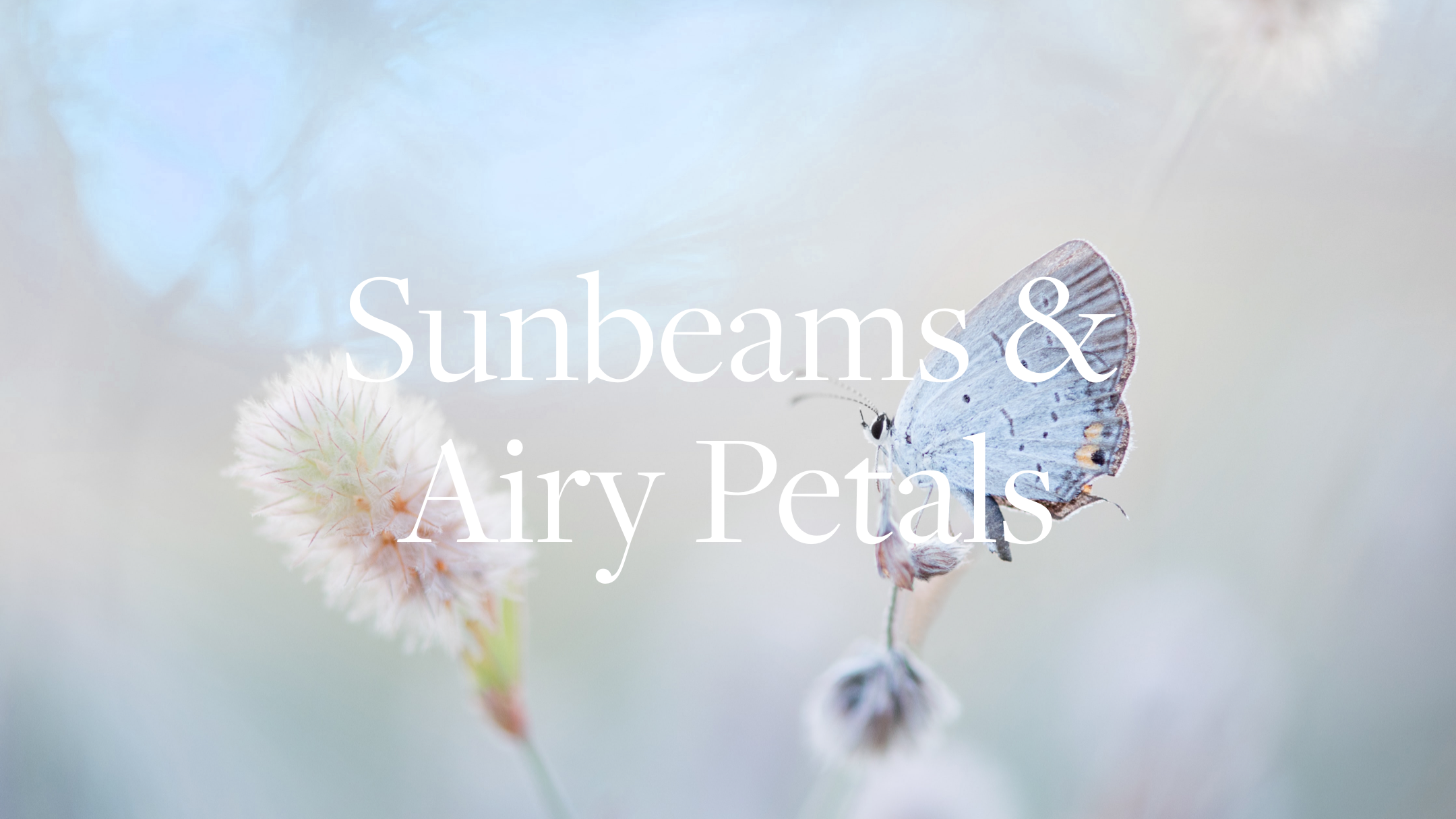 Aera® - Fresh Breeze & Freesia Zephyr Home Fragrance